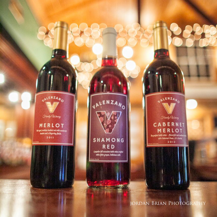 Summer Valenzano Winery Wedding in Shamong, NJ.
